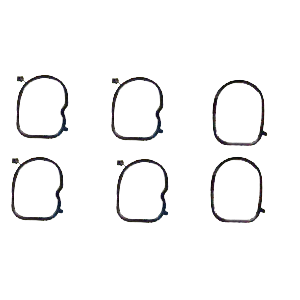 INLET/INTAKE PLENUM CHAMBER GASKET-HOLDEN COMMODORE VZ VE VF V6 3.6L A ...